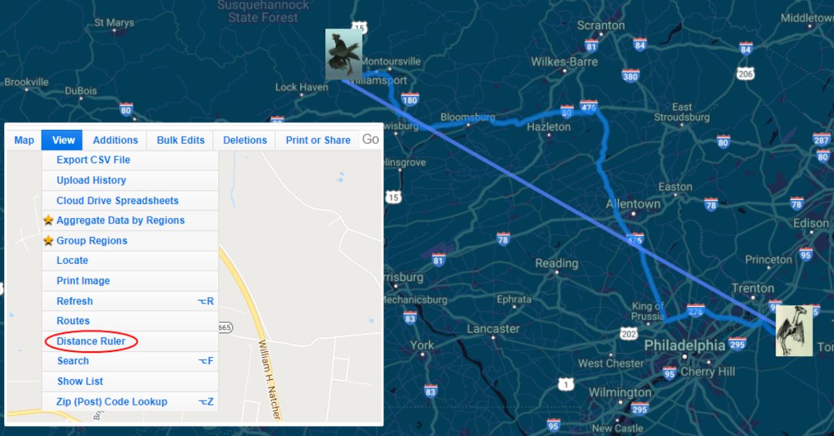 Blog - News and tips for map maker - ZeeMaps
